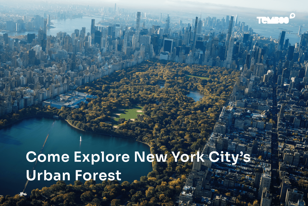 Come Explore New York City's Urban Forest